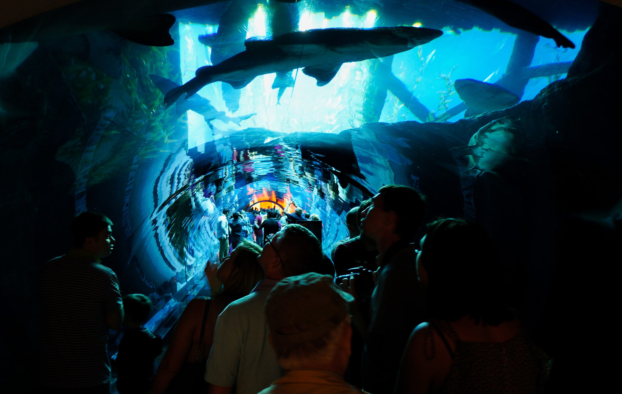 ATLANTIS AQUAVENTURE WITH LOST CHAMBER - Teresa Tours